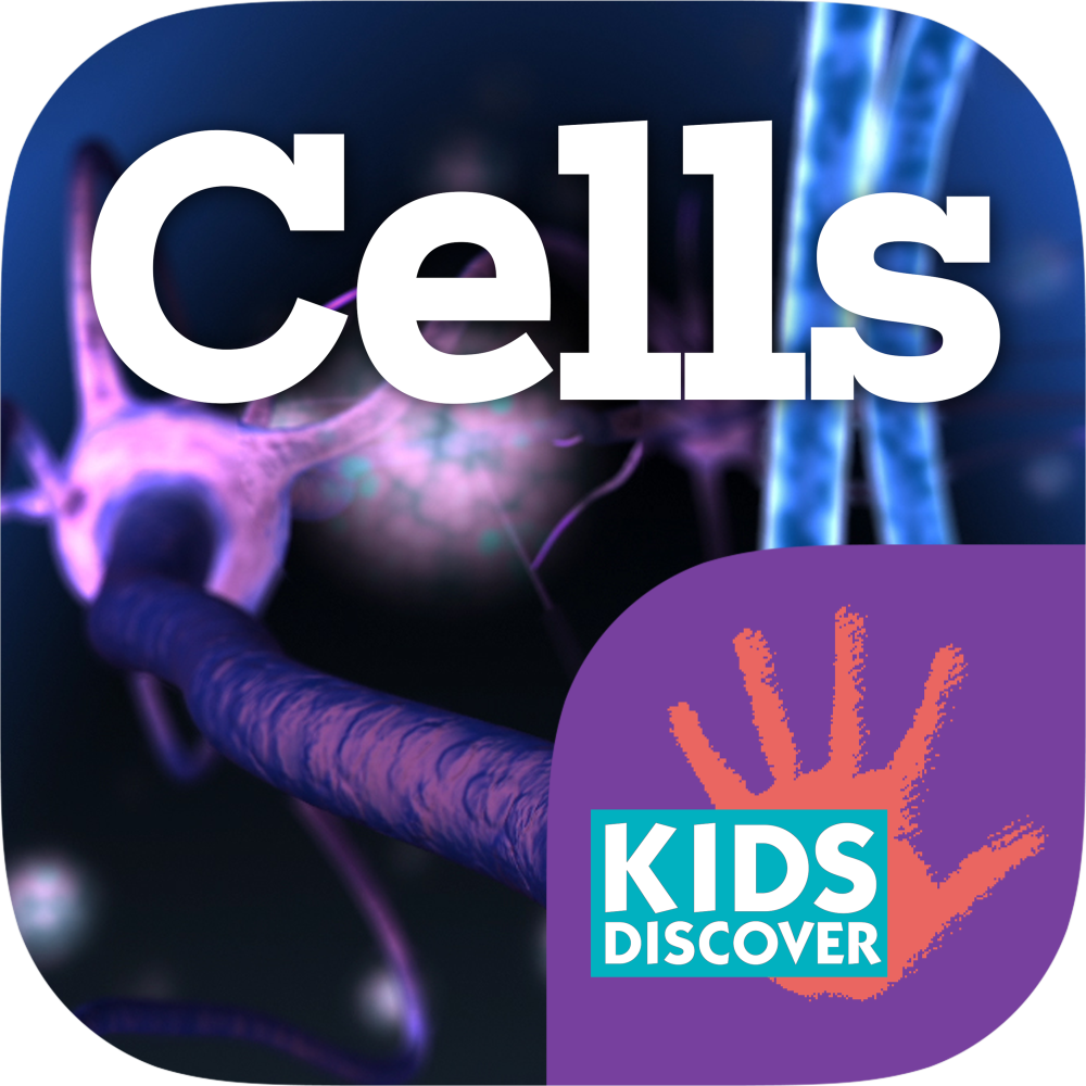 What s In Blood A Look At Types Of Blood Cells Kids Discover